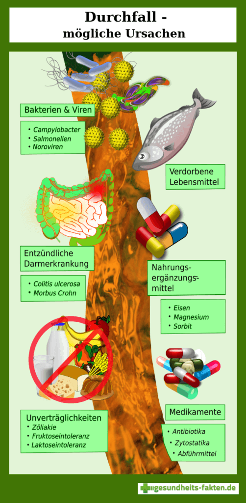 Durchfall – Ursachen und Gegenmittel
