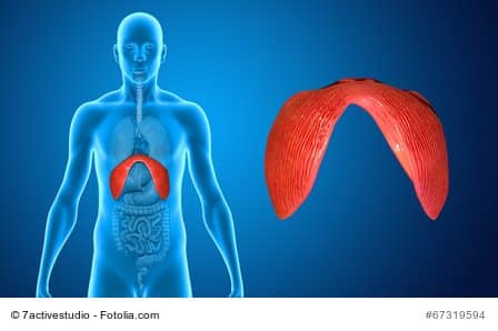 Zwerchfellentzündung - Ursachen, Symptome, Behandlung